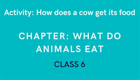 Types Of Venation In Plants Parts And Functions Class 6 Science Experiment
