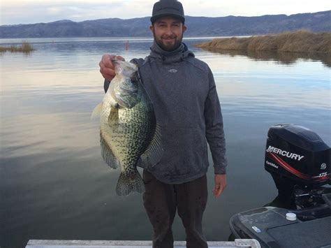 New California State Record Black Crappie At Clear Lake Western