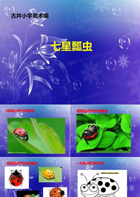 七星瓢虫PPT模板下载 编号qznbjbjk 熊猫办公