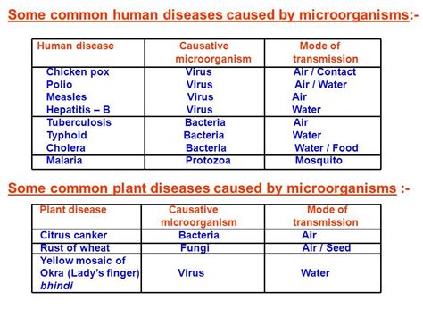 Diseases Explore Different Types Of Disease And Their Causes