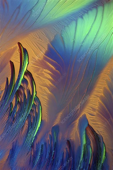Vitamin C Light Micrograph Stock Image C0257383 Science Photo