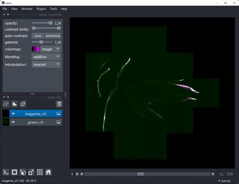 Napari Accelerated Pixel Object Classification Apoc Output Scale