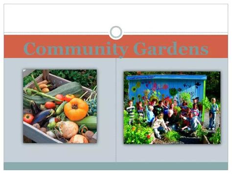 Ppt Community Gardens Powerpoint Presentation Free Download Id1561629