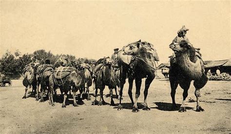 Silk Road Caravan Using Bactrian Camels · Mapping Cultural Space Across