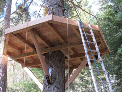 How To Build A Treehouse A Complete Step By Step Guide