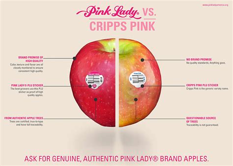 Pink Lady Apple Texture At Eileen Towner Blog