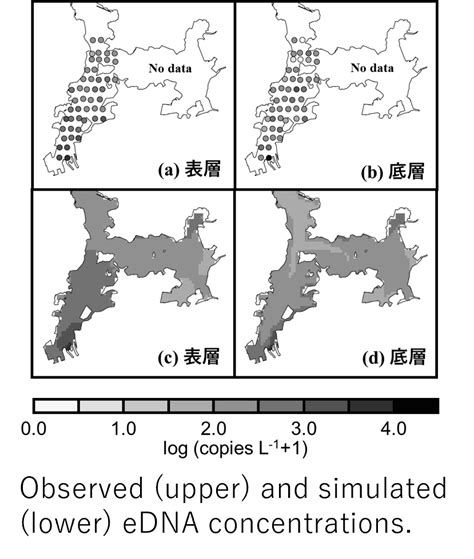 コース Evaluation Of Marine Biodiversity Using Environmental Dna And