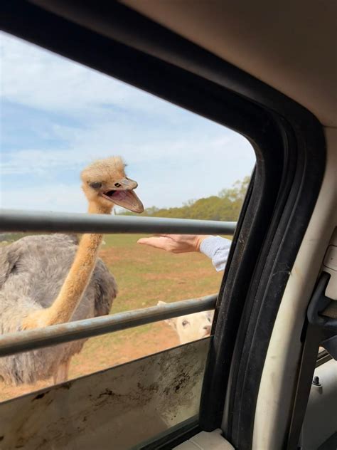 Tripp Halstead Updates