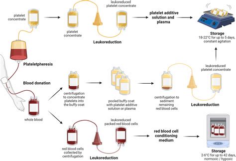 Impact Of Production Methods And Storage Conditions On Extracellular