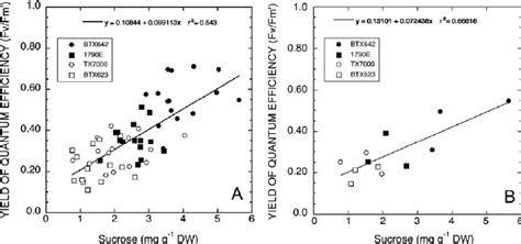 Graphs Of A The Yield Of Quantum Efficiency Values From Leaf