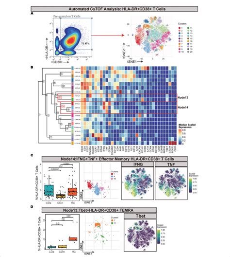 Cytof Analysis Showed Differences In Hla Dr Cd38 T Cells Among Cda