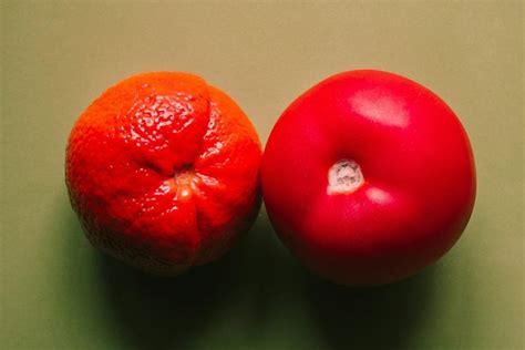 How To Filter For Bacnet Data In Wireshark Optigo Networks