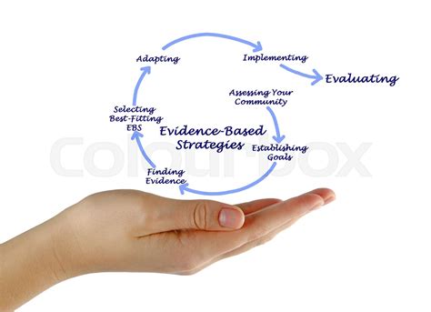 Evidence Based Strategies Stock Image Colourbox