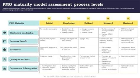 Pmo Maturity Cube Powerpoint Templates Slides And Graphics