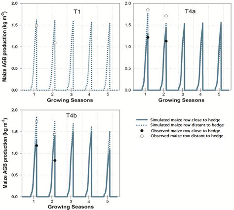 Simulated Options For Sustainable Maize Production In Agroforestry Download Scientific Diagram