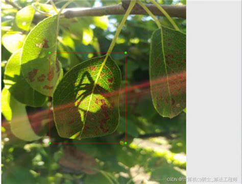 如何使用深度学习模型yolov8训练使用——梨树叶病虫害目标识别检测数据集 6000张 Yolo数据集 梨树叶病害数据集梨叶病害目标检测算法 Csdn博客