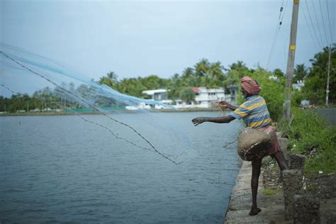 14 Chettuva Royalty Free Photos And Stock Images Shutterstock