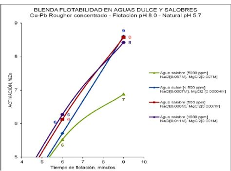 Flotabilidad De La Calcopirita En Diferentes Tipos De Agua
