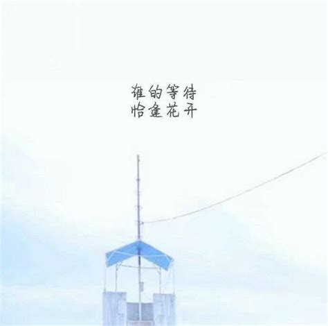 心中有座城 城裡住著疼 每日頭條