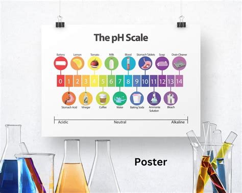 Ph Scale Infographic Print Science Classroom Decor 14 X 11 Poster