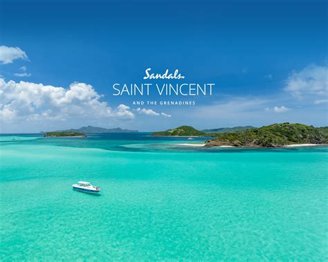 St Vincent Online Bill Pay A Complete Guide To Paying Your St