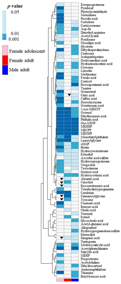 Untargeted Metabolomics Analysis Reveals Toxicity Based On The Sex And