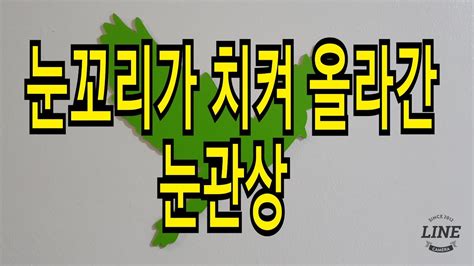 눈꼬리가 치켜 올라간 눈관상 Youtube