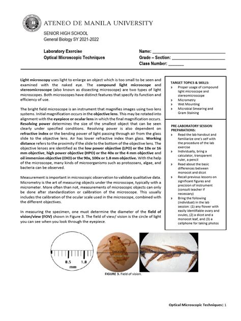 Lab 1 Optical Microscopy Techniques Pdf Gram Positive Bacteria