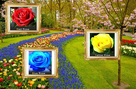 Python Opencv Match Multiple Frames On Image Stack Overflow