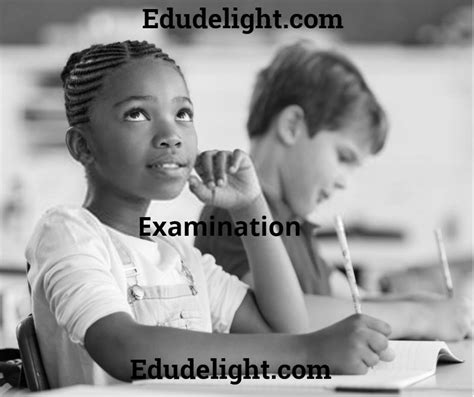 Examination Questions For Sss1 Year 10 Third Term Download Pdf Ms Word