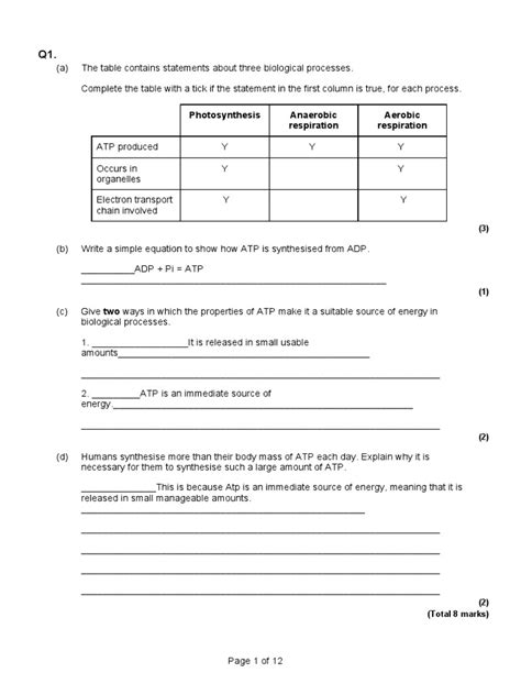 Respiration Questions Pdf Adenosine Triphosphate Cellular Respiration