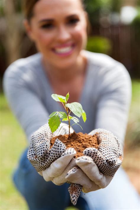 How To Improve Soil Quality Healthier Steps