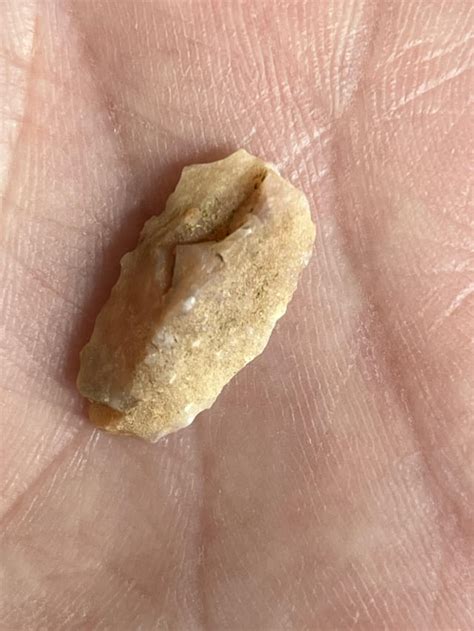Is This A Tiny Arrowhead Rarrowheads