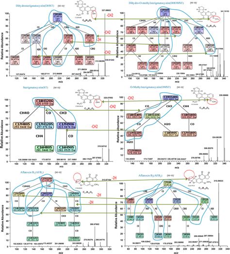Msms Mass Spectra As Well As Fragmentation Trees Of The Aflatoxin