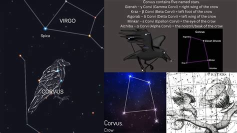 Corvus Constellation Brightest Star