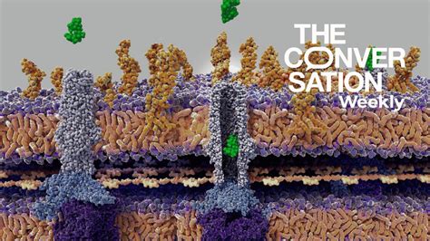 Antibiotic Resistance Microbiologists Turn To New Technologies In The