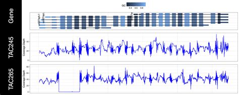 Introduction To Gene Coverage Plots Griffith Lab