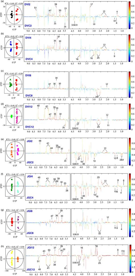 Pairwise Comparison Via Opls Da Opls Da Scores Plots Left And