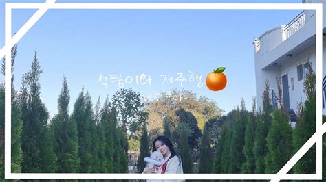 설탕이와 제주여행기🍊 Youtube