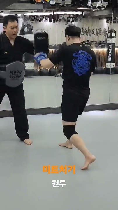 실전태권도 미트치기 원투 Youtube
