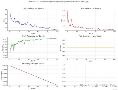 基于深度学习的hrnet Yolo的花卉图像识别系统 知乎