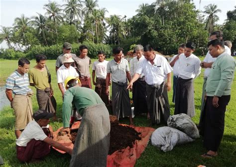 မာန်အောင်မြို့နယ် ခအုန်းမော်ရွာသစ်ကျေးရွာရှိ Rs To Cs မျိုးစေ့ထုတ်စပါးစိုက်ခင်းအား ဓါတ်မြေသ