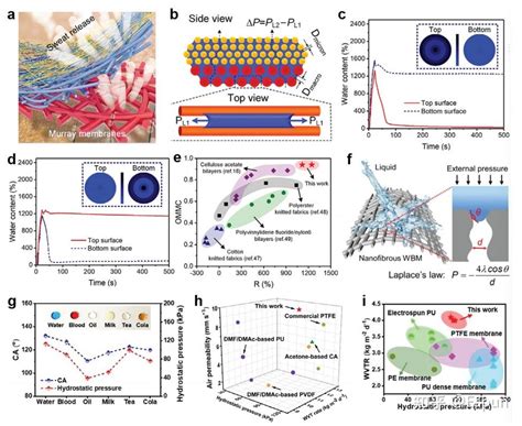 东华大学俞建勇院士、丁彬教授am综述：新一代纺织品的最新进展 知乎