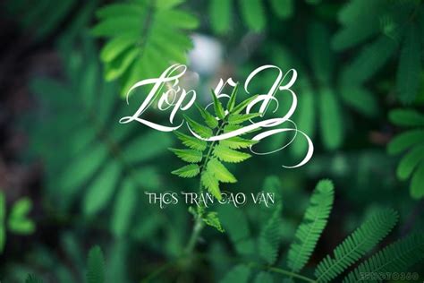 Hướng Dẫn Cách Vẽ Logo Lớp 5b đơn Giản Cho Học Sinh Tiểu Học