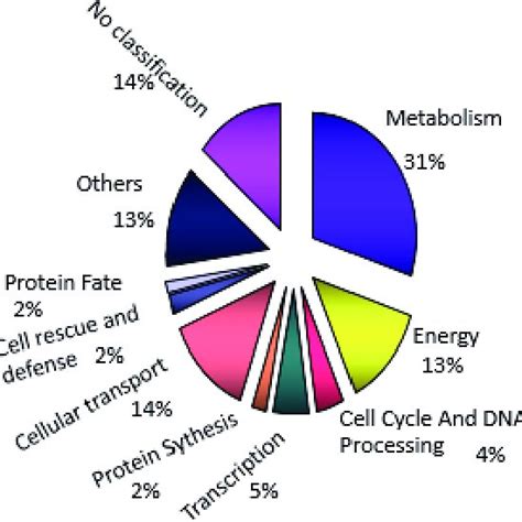 Classification Of Significant Sequences Into The Functional Categories