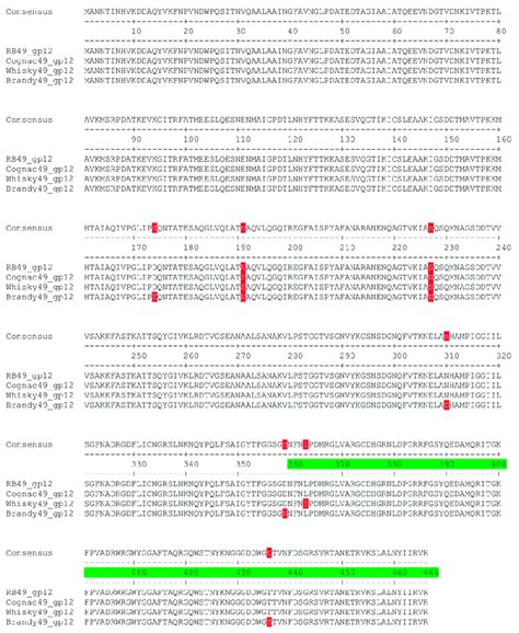 Comparison Of The Receptor Recognition Proteins Sequences Mismatches Download Scientific