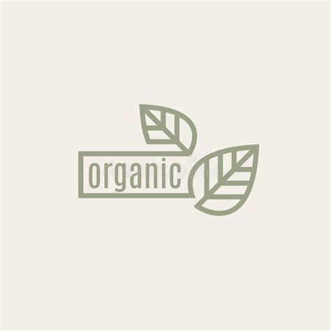 Eco Box With Green Leaf Icon Biodegradable Compostable Packaging Eco