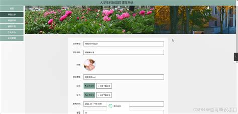 Java计算机毕业设计大学生科技项目管理系统（开题程序论文）大学生项目管理系统开发流程 Csdn博客