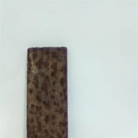 Rust Segform Semantic Segmentation Dataset By Emsi Marrakech