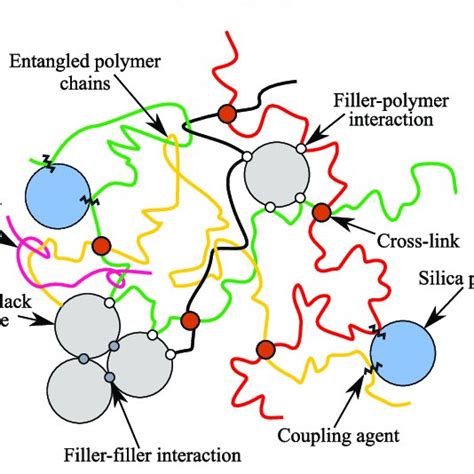 Microstructure Of A Cross Linked Filler Reinforced Rubber With A